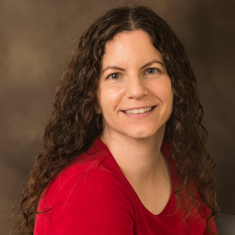 Faculty | School of Information Sciences