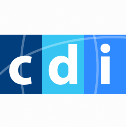 CDI completes successful five-year run | School of Information Sciences